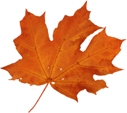 Pigeon Forge Fall Getaways | My Pigeon Forge