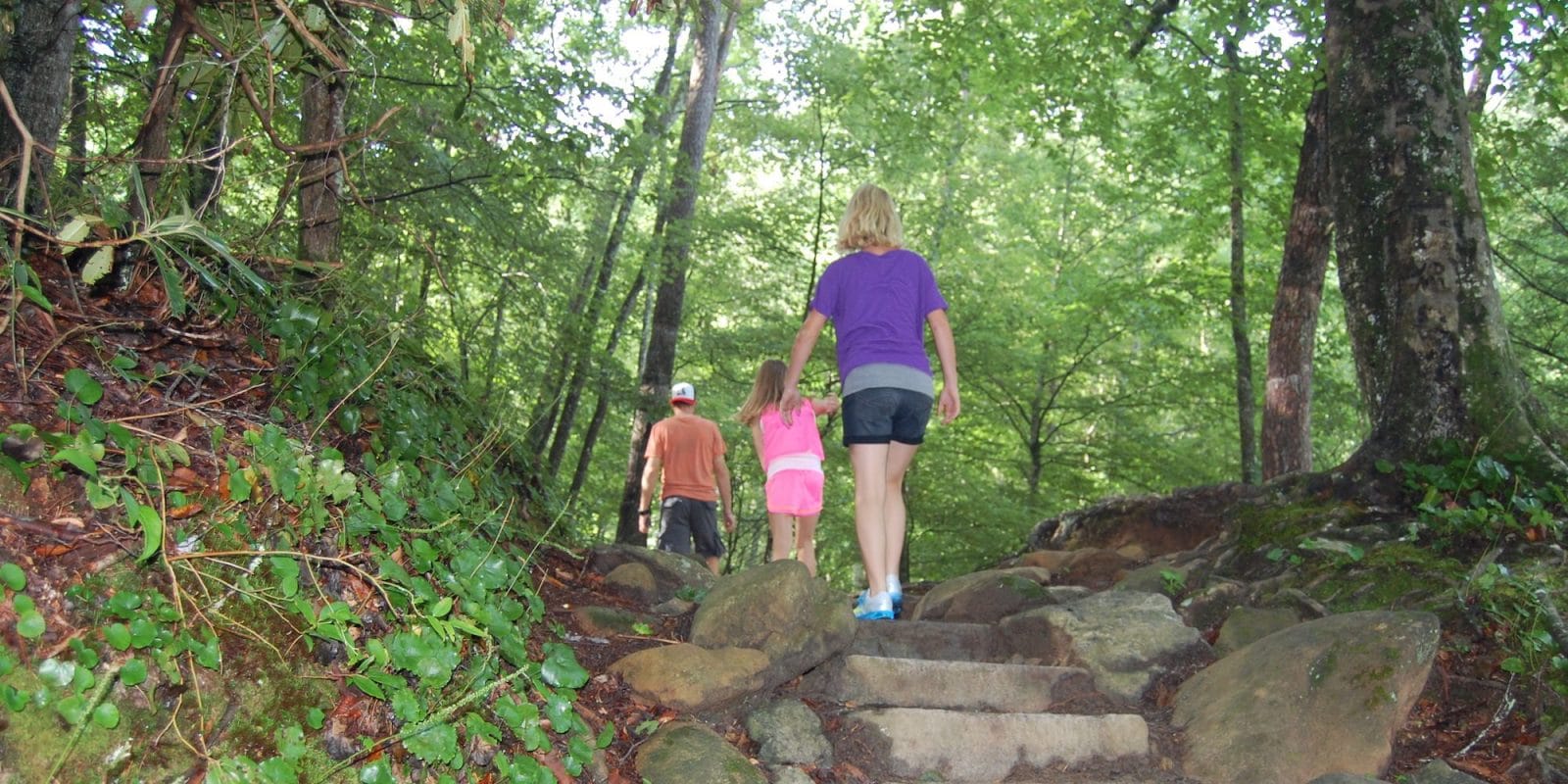 The Best Hiking Trails to Visit this Spring in the Smoky Mountains
