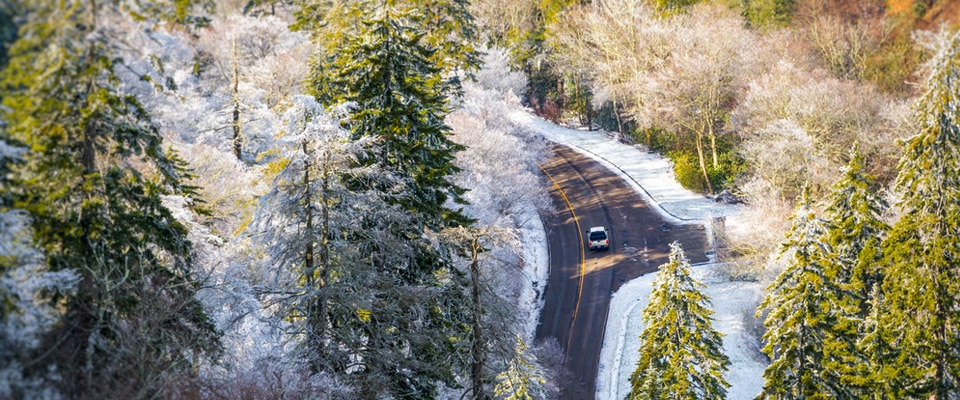 Smoky Mountains Weather Forecast & Seasonal Weather Information