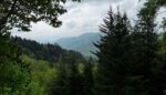 5 Must See Spots in Pigeon Forge, Tennessee | My Pigeon Forge