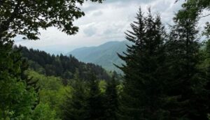 5 Must See Spots in Pigeon Forge, Tennessee | My Pigeon Forge