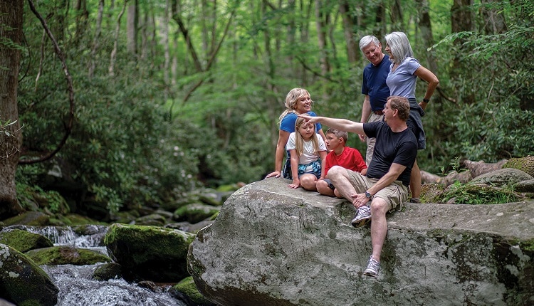 Contact Us to Plan Your Pigeon Forge Family Reunion