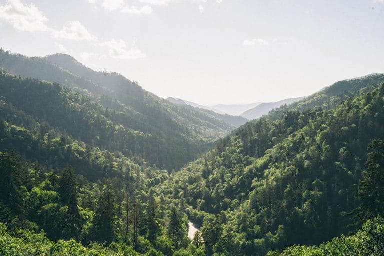 Best Ways to Celebrate Easter in Pigeon Forge