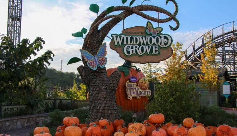 Top 5 Things to Do This Fall in Pigeon Forge, Tennessee