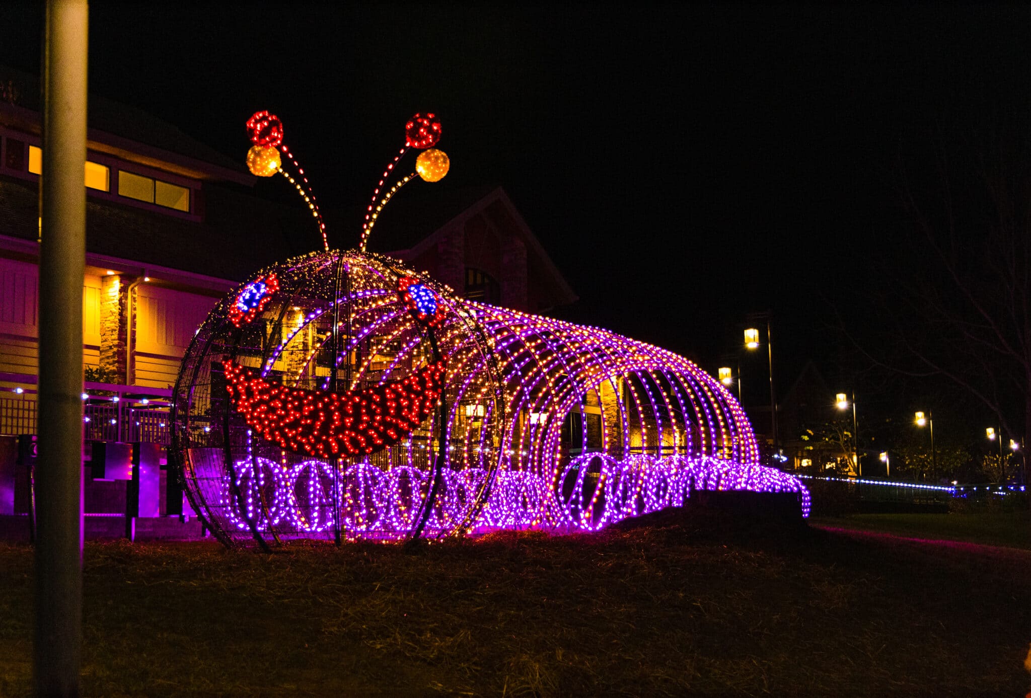 Free (or Almost Free) Things to Do During the Holidays in Pigeon Forge