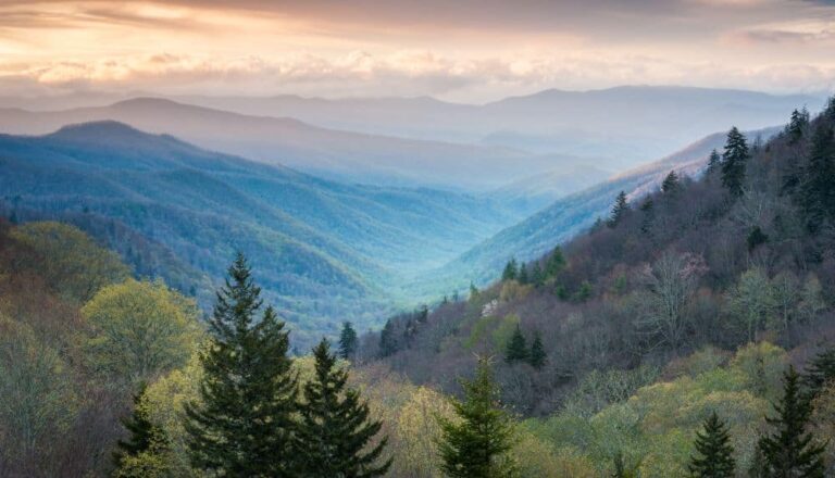 Best Views in Great Smoky Mountains National Park | My Pigeon Forge