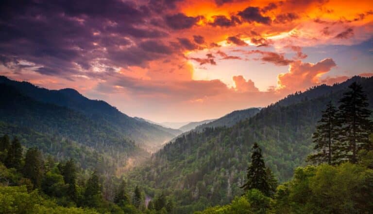 Best Views in Great Smoky Mountains National Park | My Pigeon Forge