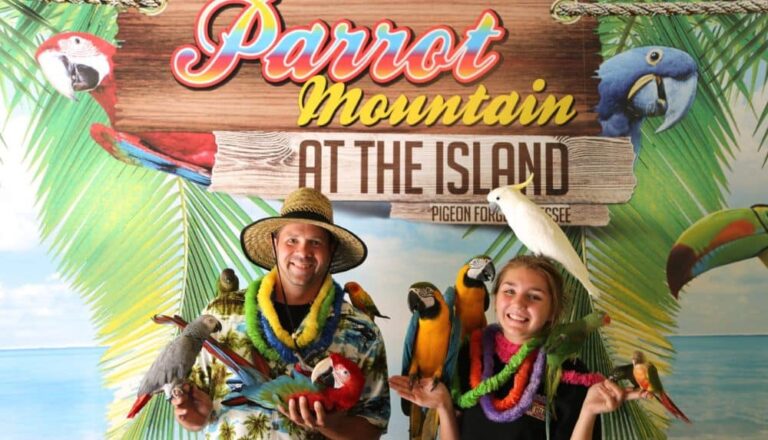 Fun Animal Attractions for Kids in Pigeon Forge, TN | My Pigeon Forge