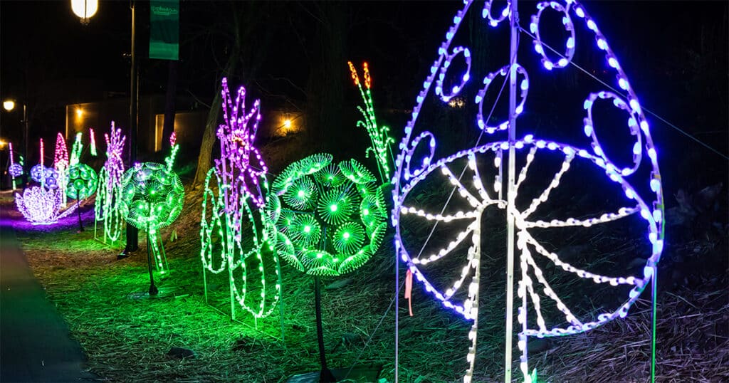 Winterfest Wonders of Light Walking Trail | Walk-thru Holiday Lights ...