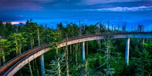 Kuwohi | Highest Point in Great Smoky Mountains National Park