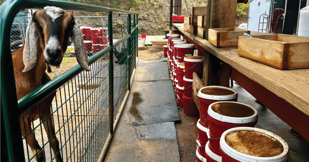 Hidden Gems That Are Off the Beaten Path in Pigeon Forge | My Pigeon Forge