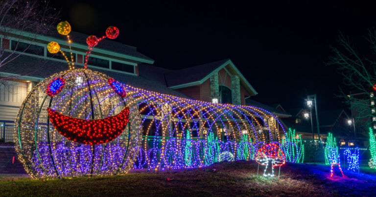 Winterfest Wonders of Light Walking Trail | Walk-thru Holiday Lights ...